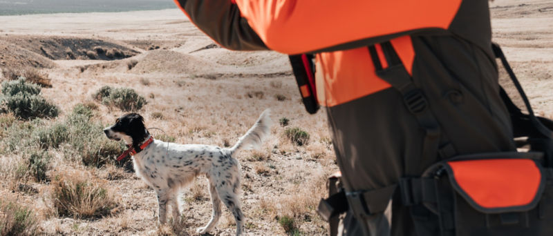 Dog Products | Orvis