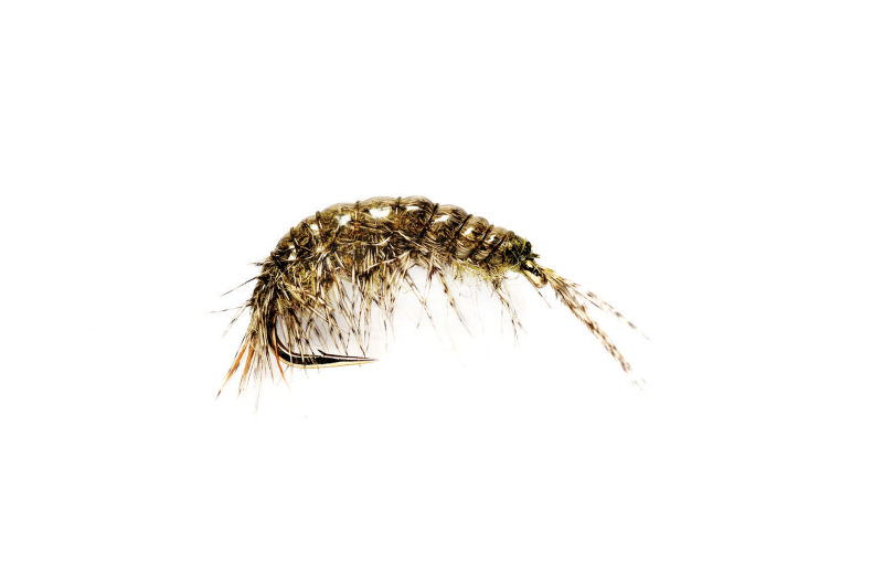 Ultimate Shrimp Fly Patterns