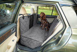 Essential Accessories for Car Travel with Dogs | Orvis