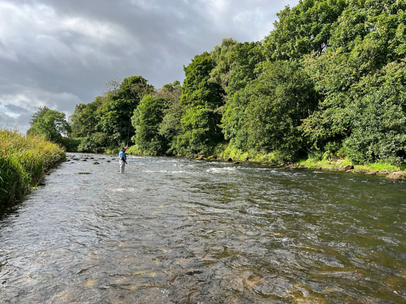 Scott Rutherford Endorsed Fly-Fishing Guide | Orvis