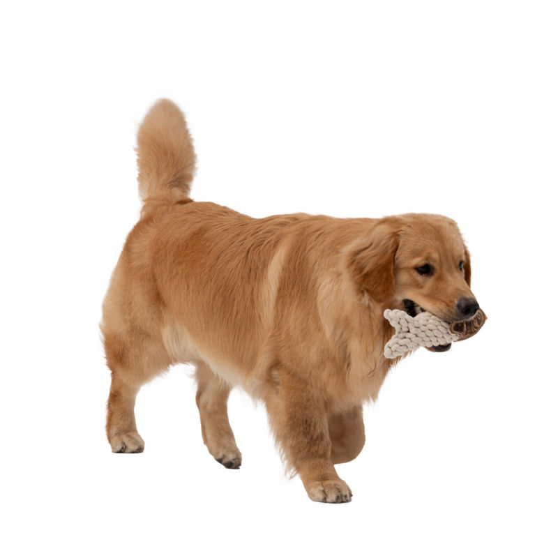 Rope Crunch Fish Dog Toy | Orvis