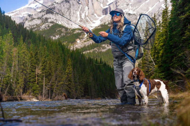 Dog Products | Orvis